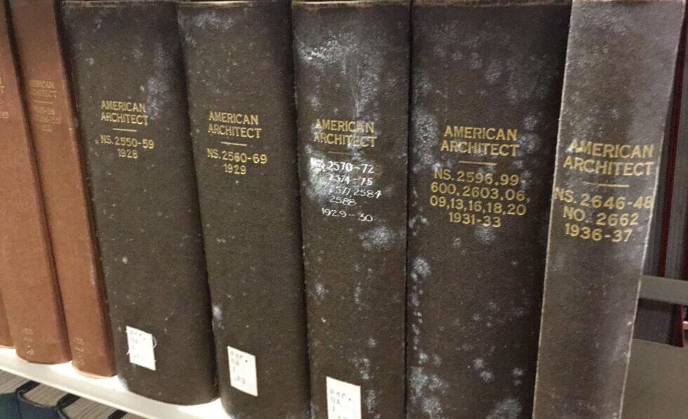 Commercial Mould Remediation in Library - over 10, 000 books - Juvenaire